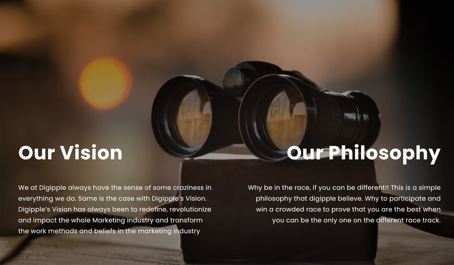 Digipple Company Overview | About Digipple